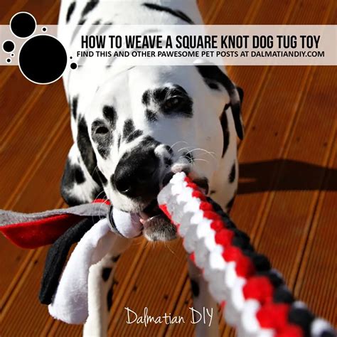 How To Make A Square Knot Dog Tug Toy At Anna Lively Blog