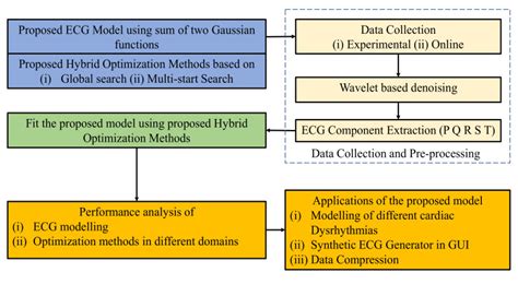 Design And Optimization Of Ecg Modeling For Generating Different Cardiac Dysrhythmias Pmc