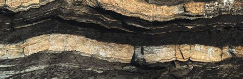 Shale Gas Rock