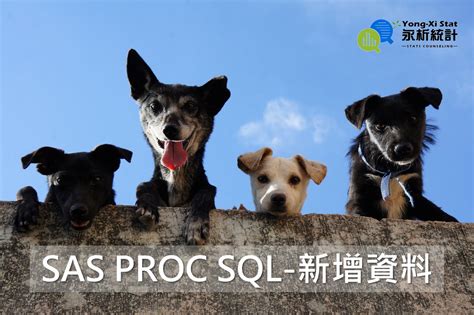 SAS PROC SQL 新增資料 永析統計及論文諮詢顧問