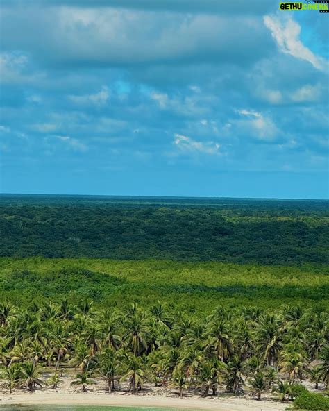 Actress Addy Miller Hd Photos And Wallpapers April 2025 Gethu Cinema