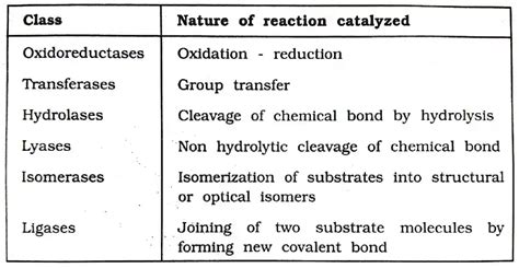 Biotechfront Classification Of Enzymes