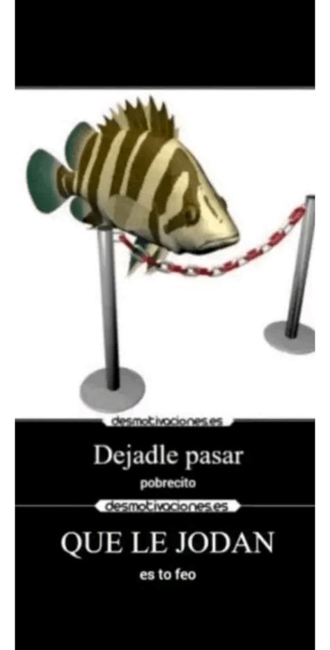 Que Le Jodan R Lmdshow