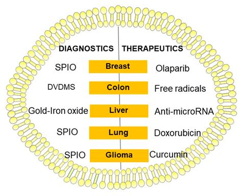 Schematic Diagram Illustrating Exosomes As Theranostic Abr