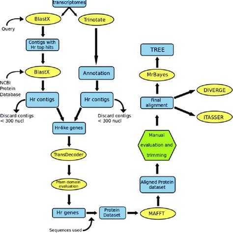 Flow Chart Of Bioinformatics Pipeline Rounded Blue Rectangles