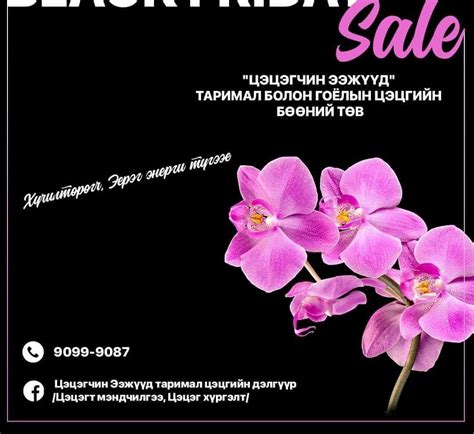 Хөрс ваарандаа маш сайн дасаж нутагшсан жигд зөв ургалттай таримал цэцэгстээ талбай чөлөөлөх