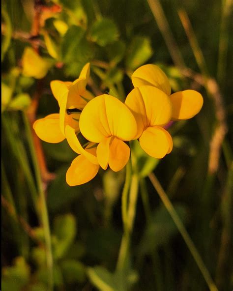 Photo Session Mihails Added A New Photo Session Mihails