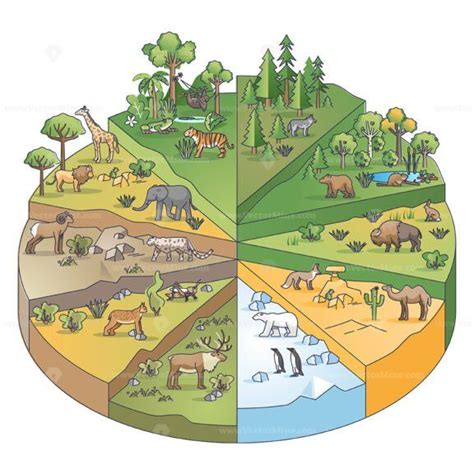 Types Of Habitats And Various Ecosystems Collection In Pie Outline