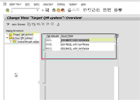 Define Target Qm System In Sap