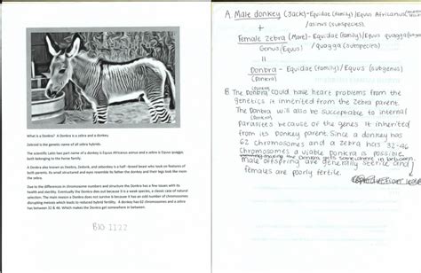 Speciation And Taxonomy Hybrid Animal Investigation The Biological