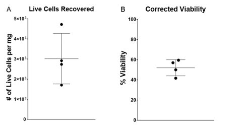 Enhanced Mouse Brain Cell Surface Expression With Simpleflow