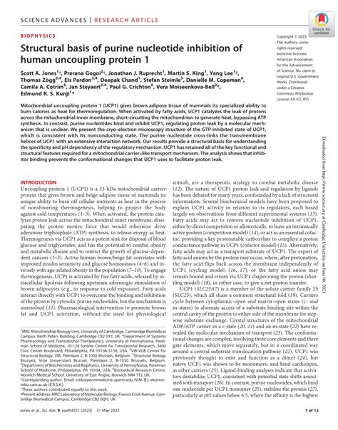 Pdf Structural Basis Of Purine Nucleotide Inhibition Of Human Uncoupling Protein 1