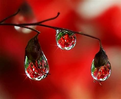Best Wallpapers Colourful Raindrops Wallpapers