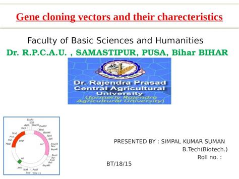 Pptx Gene Cloning Vectors And Their Charecteristics Dokumentips