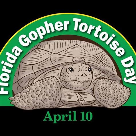 Gopher Tortoise Education Fwc