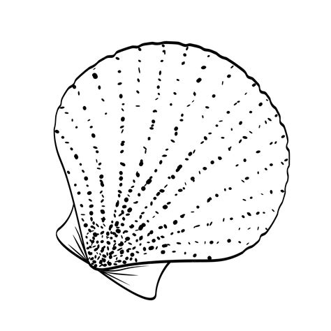 Premium Vector Bivalve Shell Sea Scallop Black Outline On White