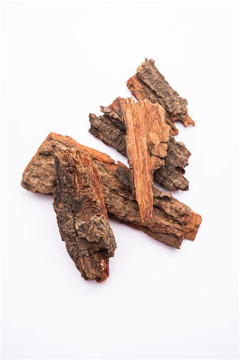 Babul Chaal Or Acacia Bark Also Known As Vachellia Nilotica Bark Kikar