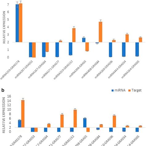 A Relative Expression Amount Of Mirna And Their Corresponding Mirna