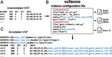 Overview Of The Vcfanno Workflow An Unannotated Vcf A Is Sent To Download Scientific Diagram