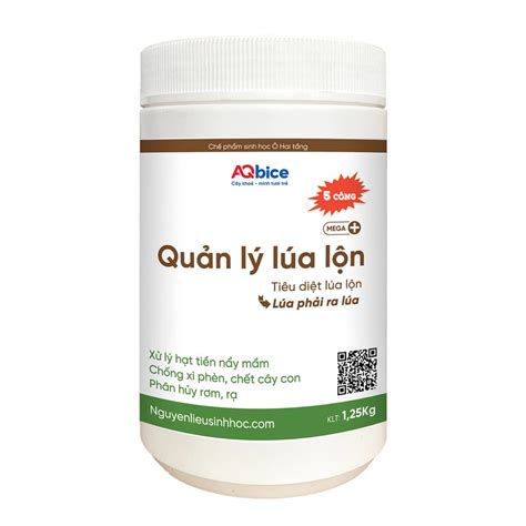 Mùa Lúa Gạo Trong Năm Đặc điểm Của Các Mùa Vụ Từng Khu Vực