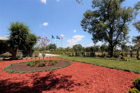 კრწანისის ტყეპარკში გამწვანების მასშტაბური სამუშაოები განხორციელდა Bpn