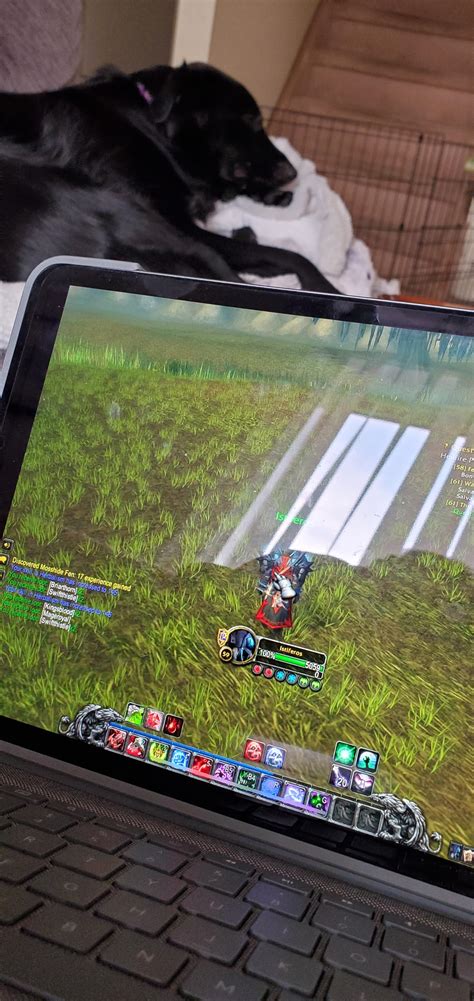 Wow Keyboard And Mouse