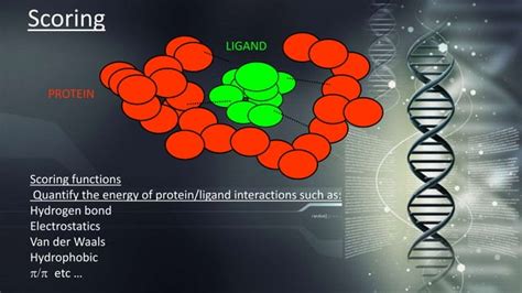 In Silico Drug Desigining Pptx