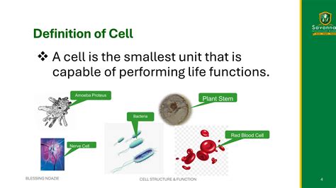 Cell Structure And Function Cambridge Igcse Biology Pdf
