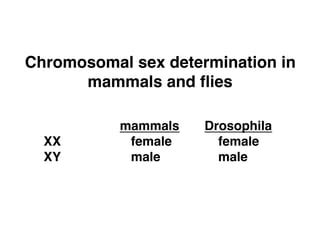 Sex Determination PPT