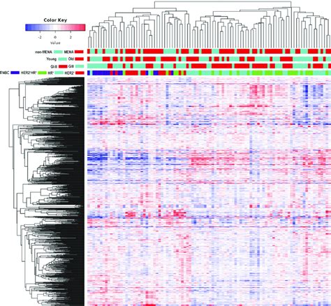 hierarchical clustering of bc based on mrna expression heatmap