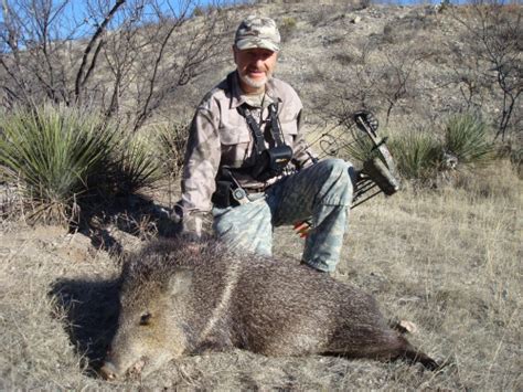 Arizona Guided Javelina Hunts Photos