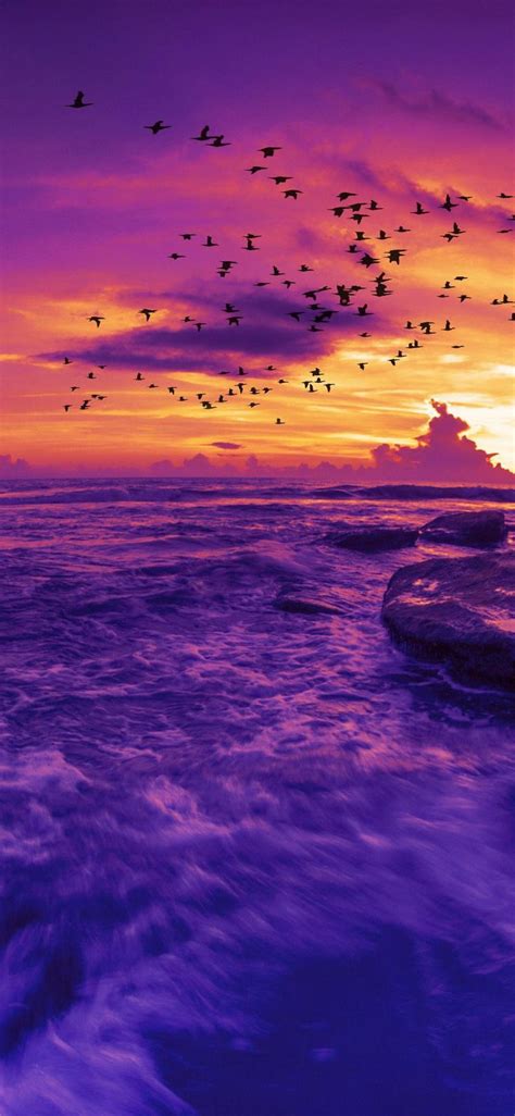 Lenovo Z Pro Wallpapers Huawei Wallpapers Beach Wallpaper Iphone Wallpaper Fall