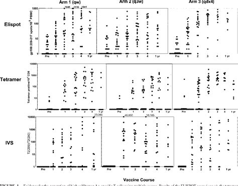 Enzyme Linked Immunospot Assay Semantic Scholar