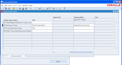 Oracle E Business Suite R12 Financials Defining Multi Organization