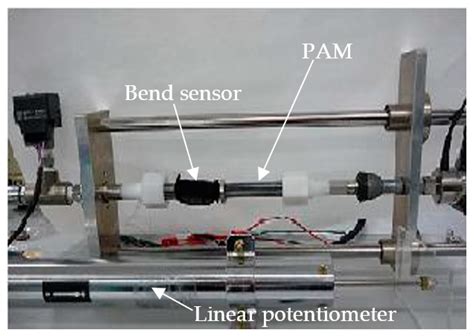 Smart Pneumatic Artificial Muscle Using A Bend Sensor Like A Human Muscle With A Muscle Spindle
