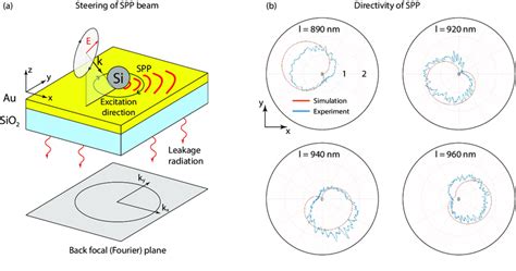 a sketch of the experiment spp is excited silicon nanoantenna