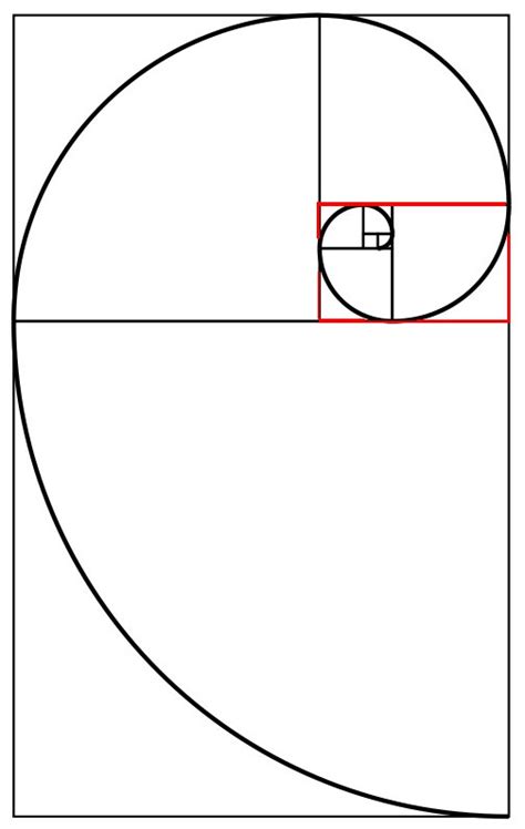 Still Stranded Fibonacci Spirals