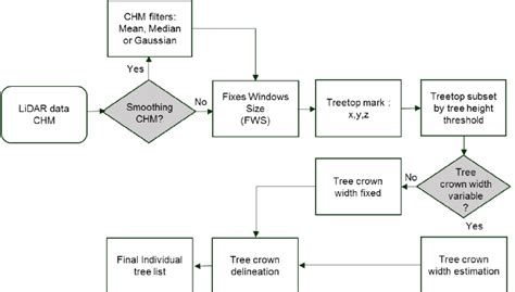 Flowchart Of The Web LiDAR Treetop Application Download Scientific Diagram