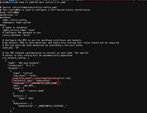 Calicoctl工具部署 K8s中的pod的方式 Zhai David 博客园