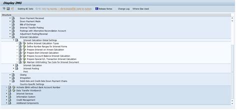 FPIN CUSTOMIZING SAP Tcode Penalty Interest