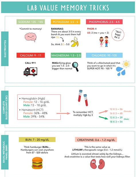 Lab Value Memory Tricks Easy Mnemonics For Nurses And Medical Students