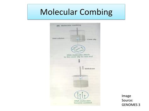 Gene Mapping Methods Pptx