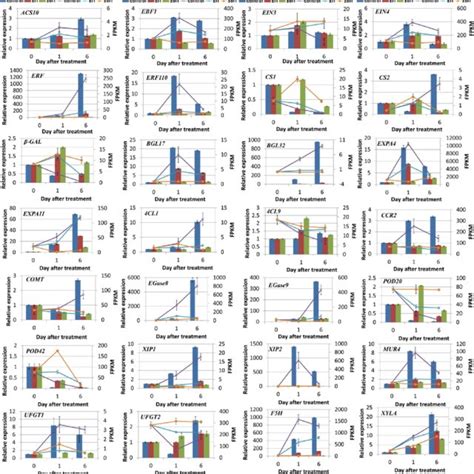 expression pattern validation of 28 selected degs in the rna seq