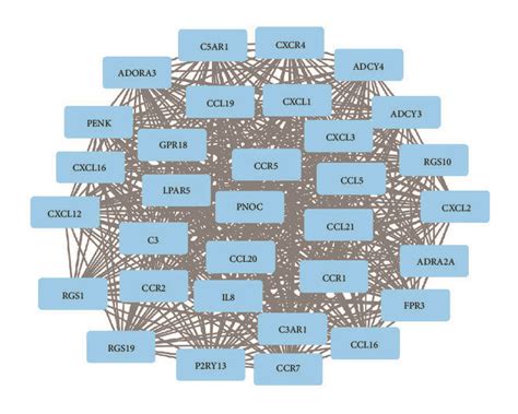 Top 6 Modules From The Protein Protein Interaction Network A Module Download Scientific