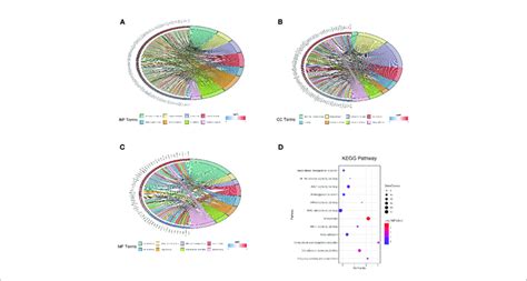 Go Annotation And Kegg Pathway Enrichment Analysis Of Degs A C