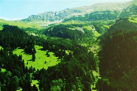 Verdant Natural Landmarks Nature Landscape
