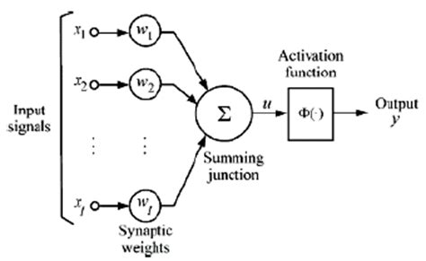 The Basic Components Of An Artificial Neuron Download Scientific Diagram