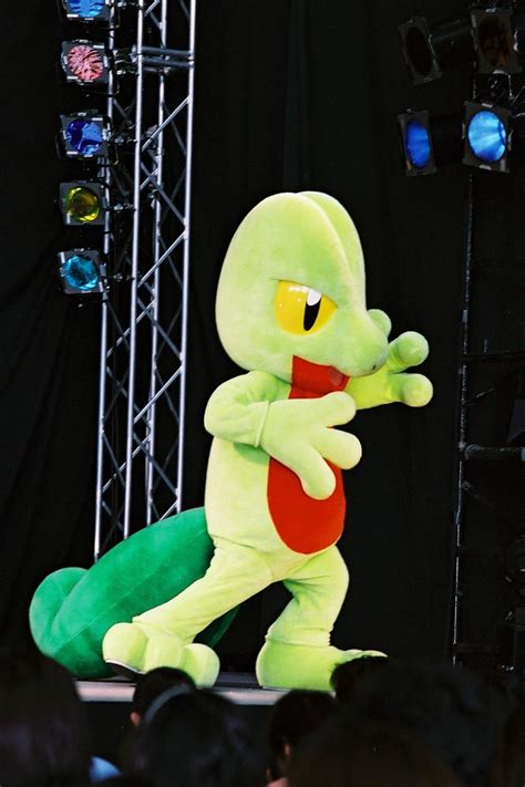 Treecko Mascot Pokemon Costumes Pokemon Cosplay Pokemon Images