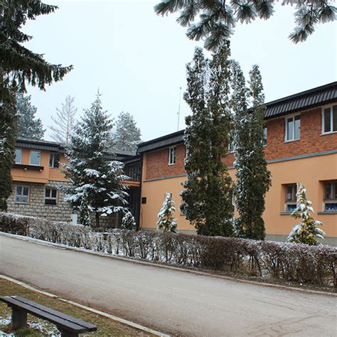 Контакт Саво Јовановић Сирогојно