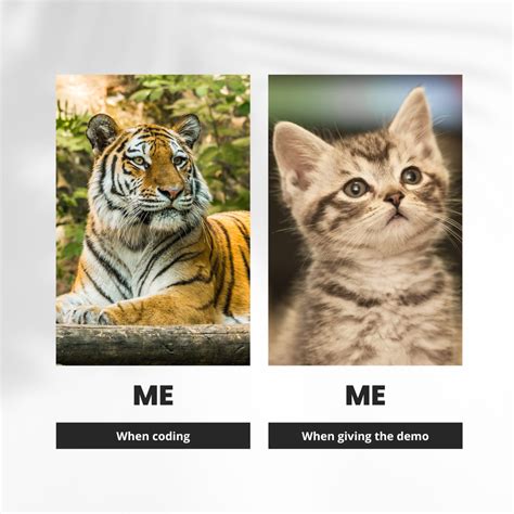 Coders Be Like Rprogrammerhumor